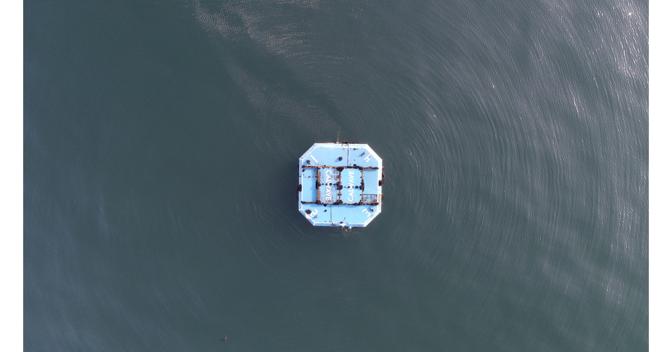 CalWave Successfully Concludes Historic Wave Energy Pilot in California