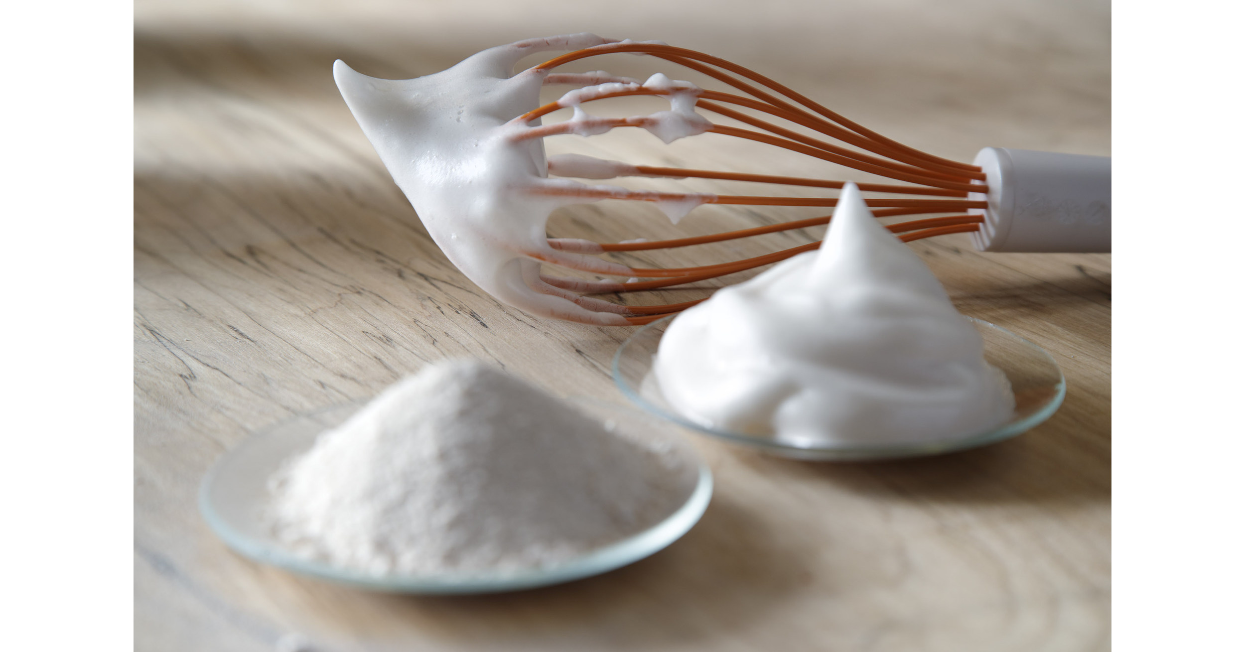 Onego Bio secures EUR 4.5M additional funding to accelerate research ...