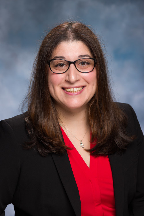 Ellen M. Stein is recognized by Continental Who's Who