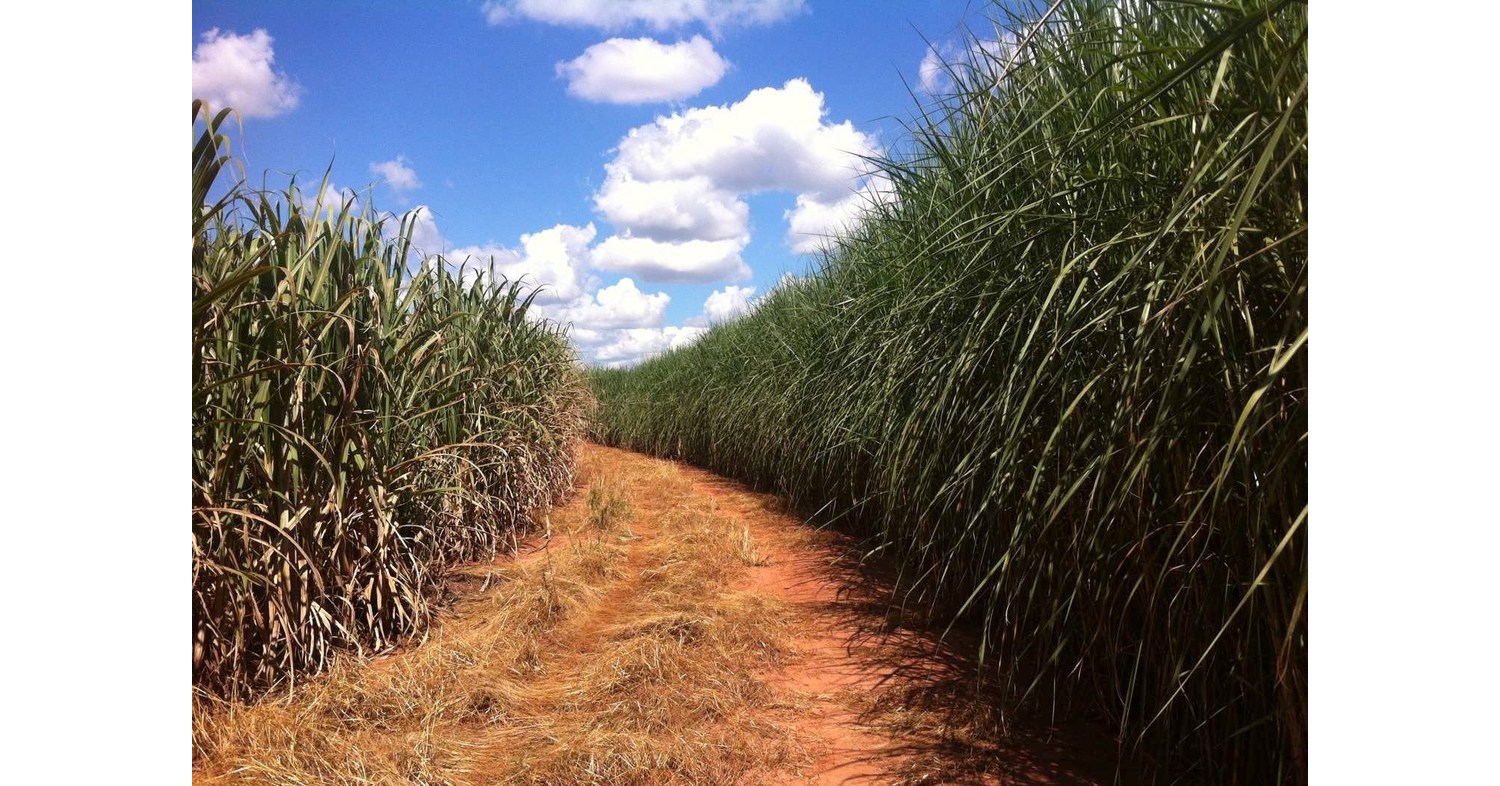 Nuseed expands its bioenergy platform; acquires assets and signs long ...