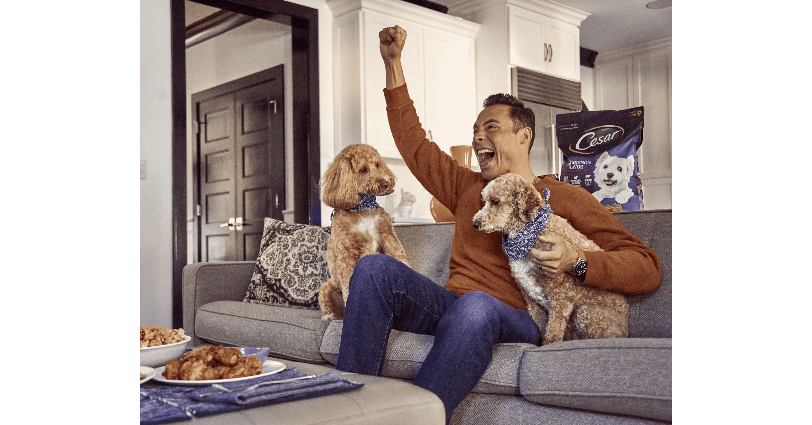 THE CESAR® BRAND CREATES A GAME DAY SPREAD FOR DOGS, INSPIRED BY FAN ...