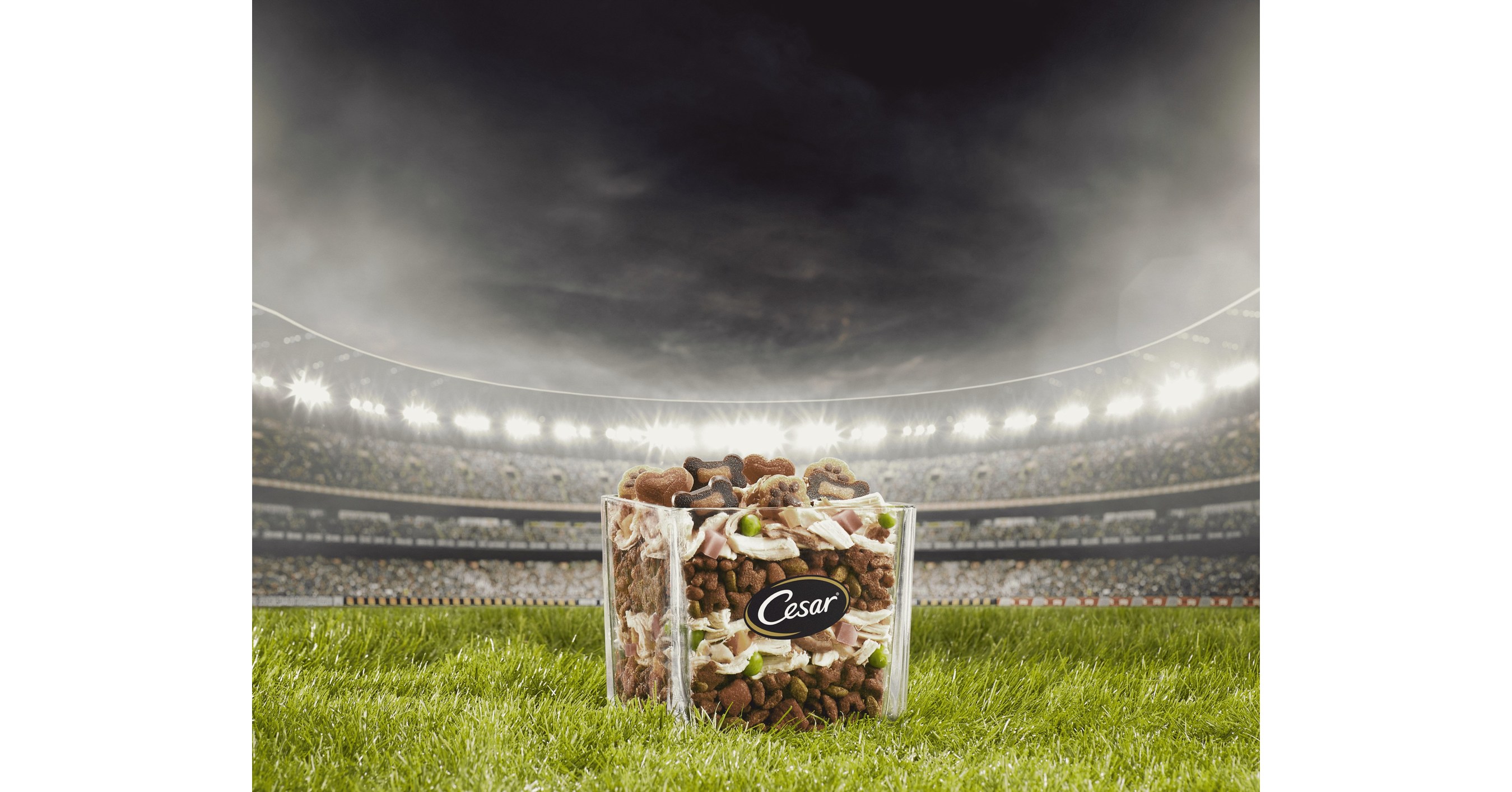 THE CESAR® BRAND CREATES A GAME DAY SPREAD FOR DOGS, INSPIRED BY FAN ...