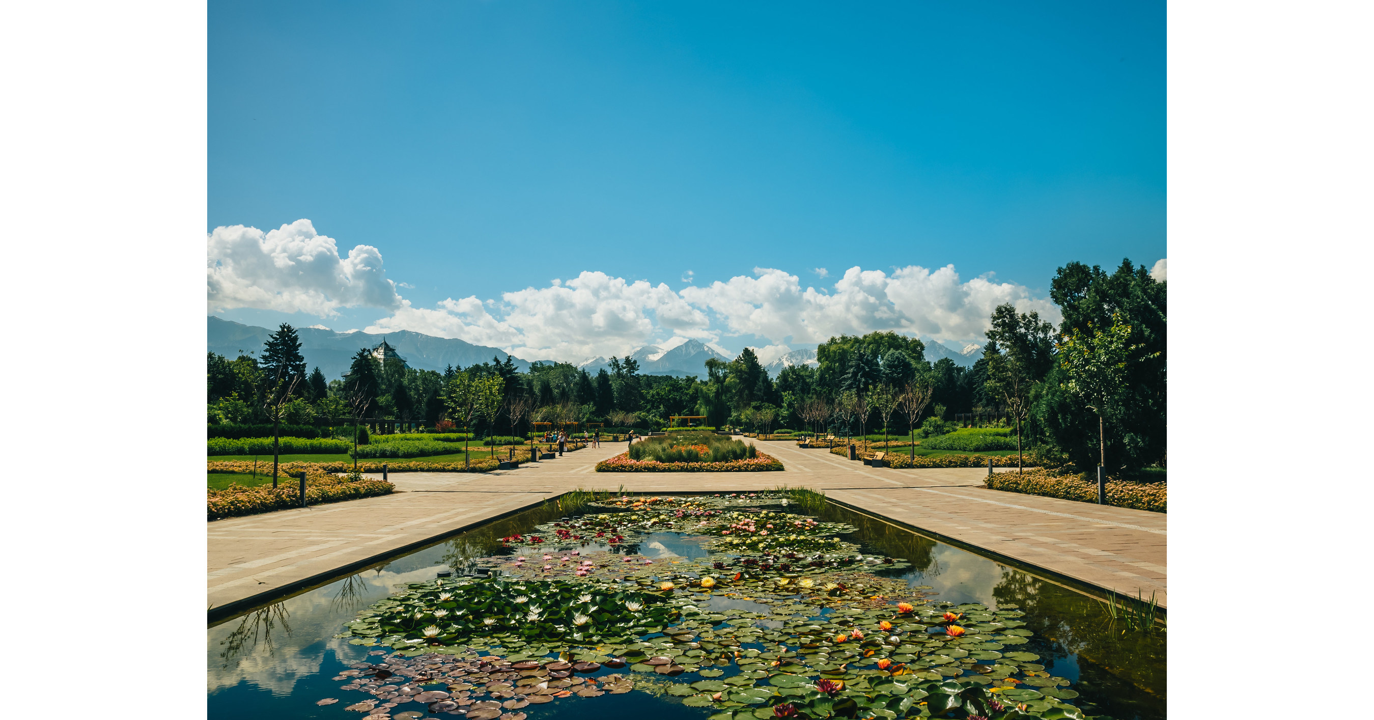 Climate Change Front and Centre of Almaty's International Botany Conference