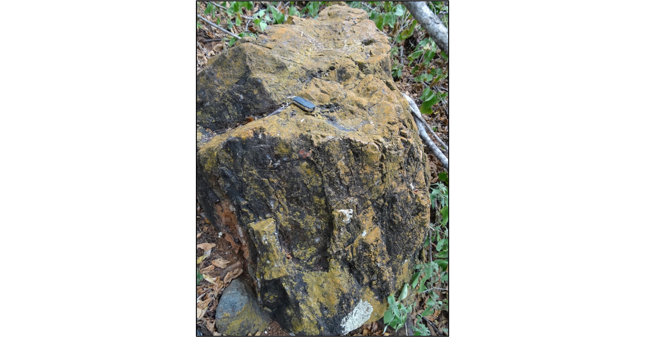 Vortex Metals Highlights Riqueza Marina Project Exploration Targets