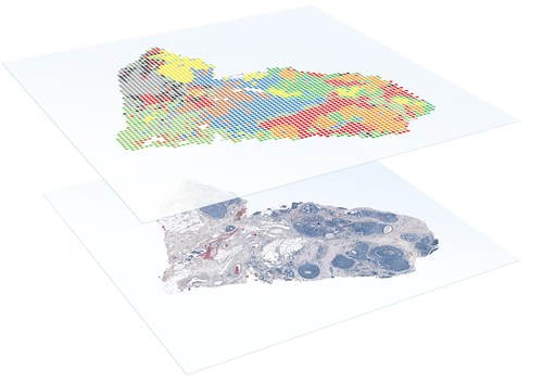 BioChain is officially a 10X Visium Certified Service Provider for ...