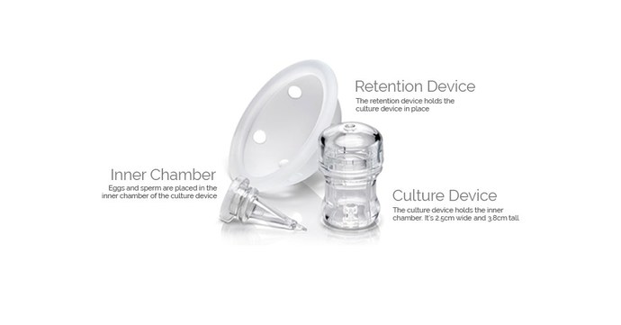 Dr. Sue Ellen Carpenter of INVO Bioscience's Atlanta-based INVO Center ...