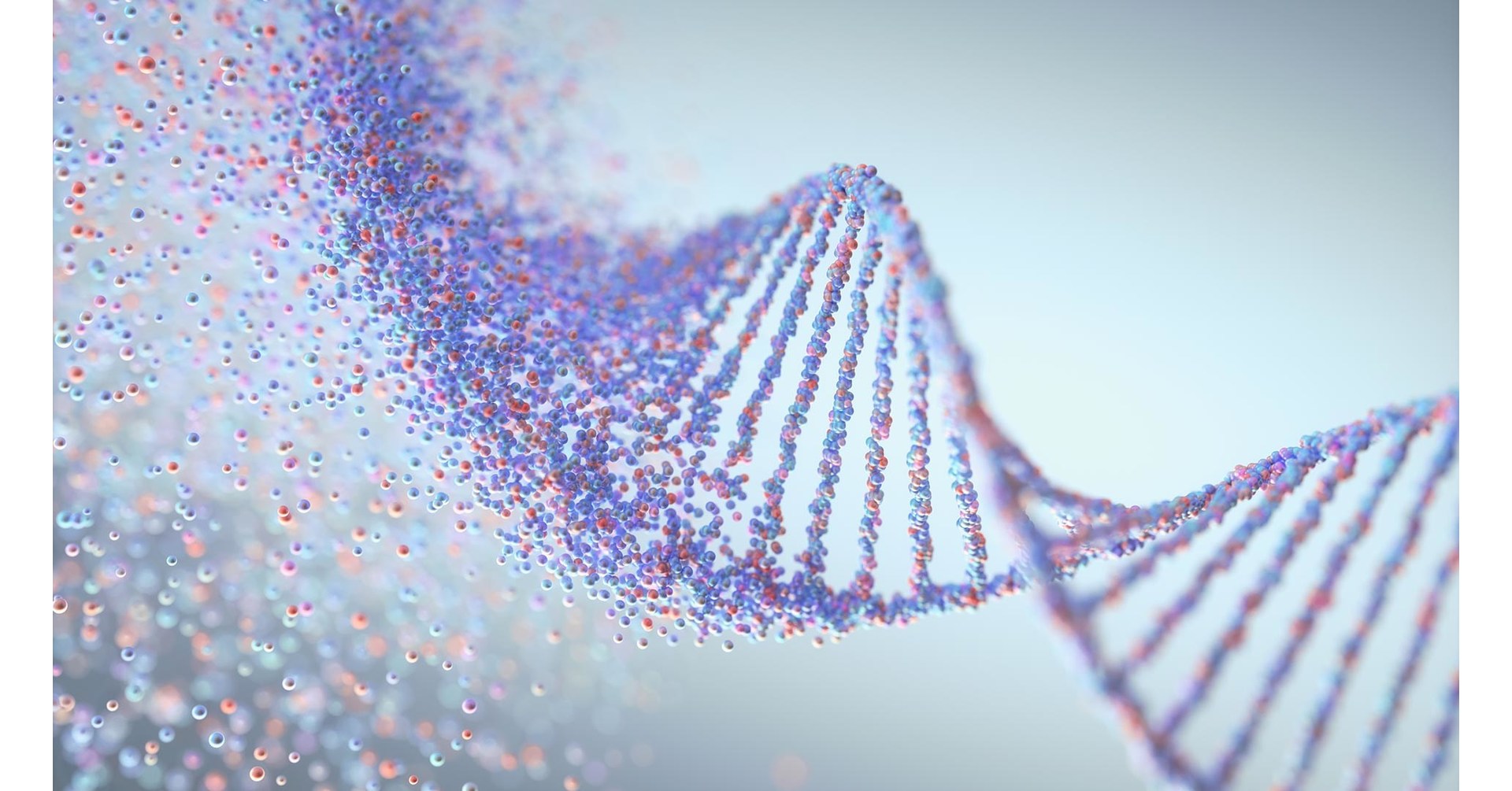 Exposing the evolutionary weak spots of the human genome