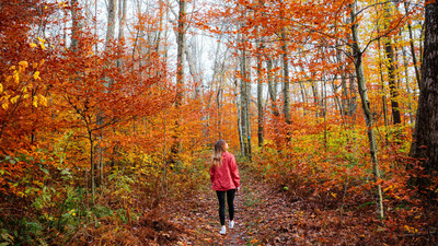 AllTrails Launches First of its Kind Partnership with West Virginia to ...