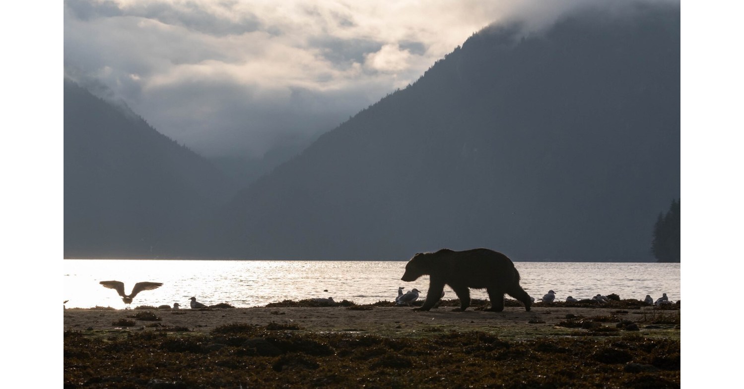 Air Canada présente CHOOOSE, son nouveau partenaire de compensation carbone