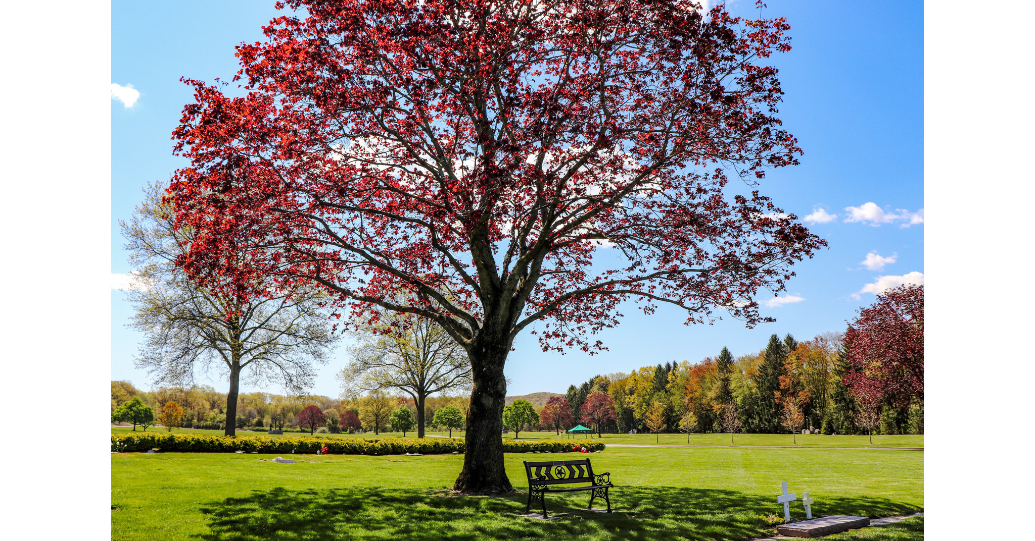 Peaceful Christ The King Cemetery to Host Open House Starting October 1
