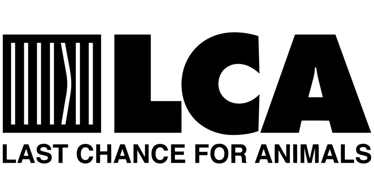 Last Chance for Animals Teams Up With Moby to Release "Super Cow" PSA ...