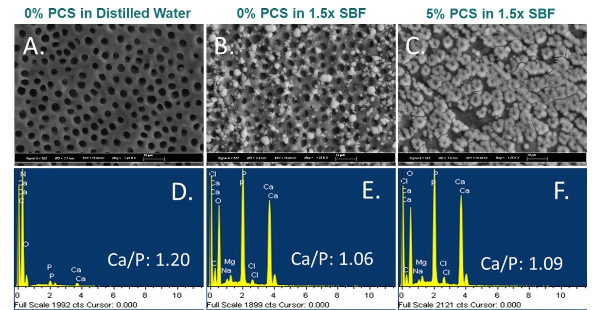 Mussel Polymers, Inc. announces breakthrough in the treatment of ...