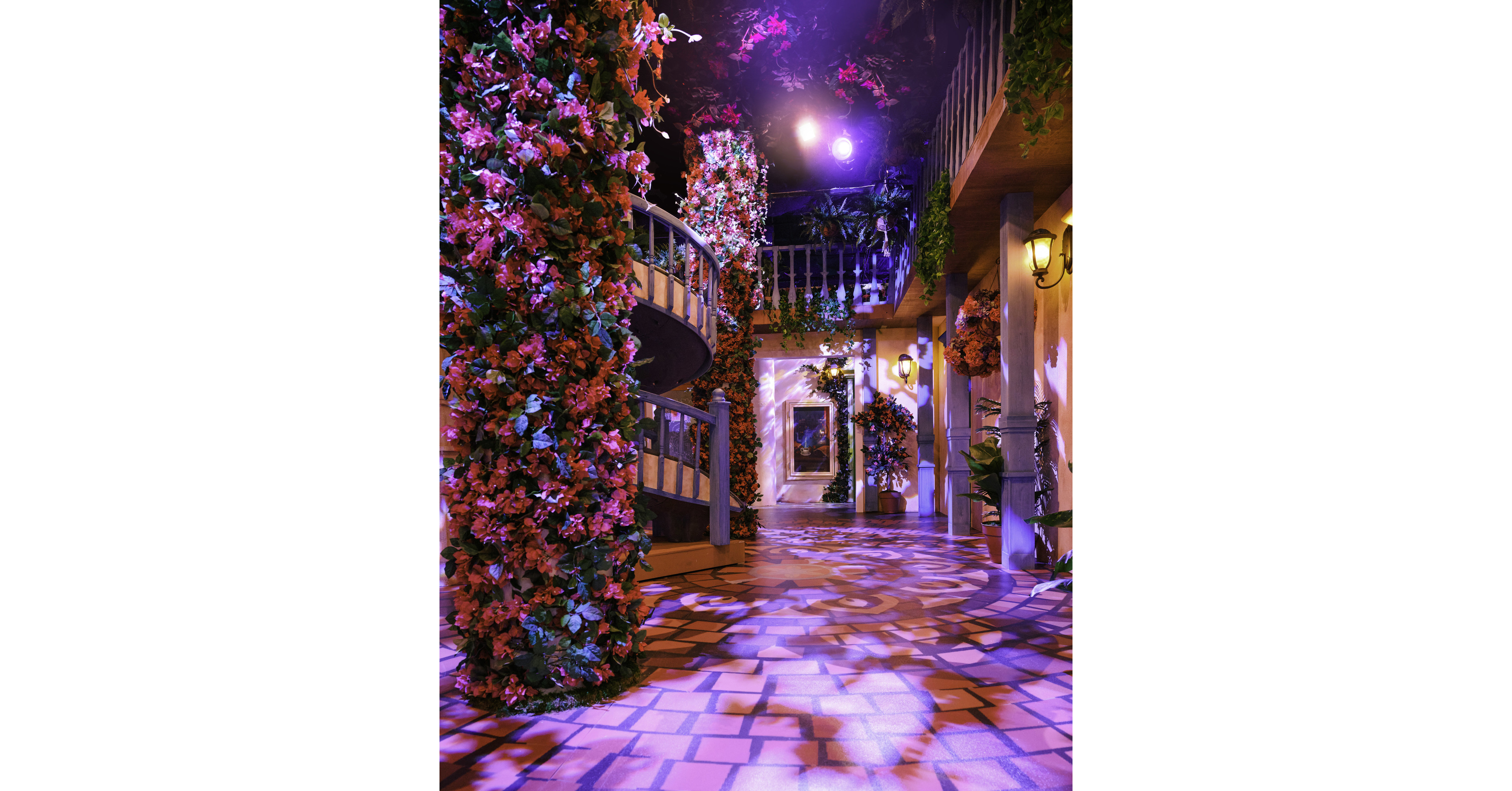 CAMP and Walt Disney Animation Studios' Encanto Present a New Immersive ...