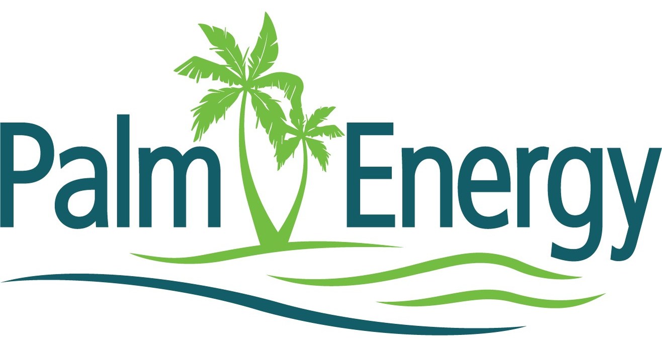 Palm Energy partners with 34 Group to deliver projects across New York State