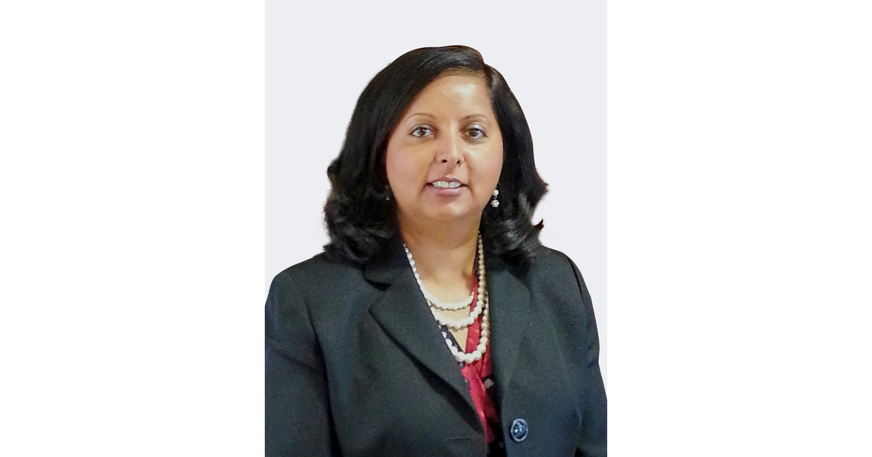 DMI Brings on Meena Patel as President of Commercial Group