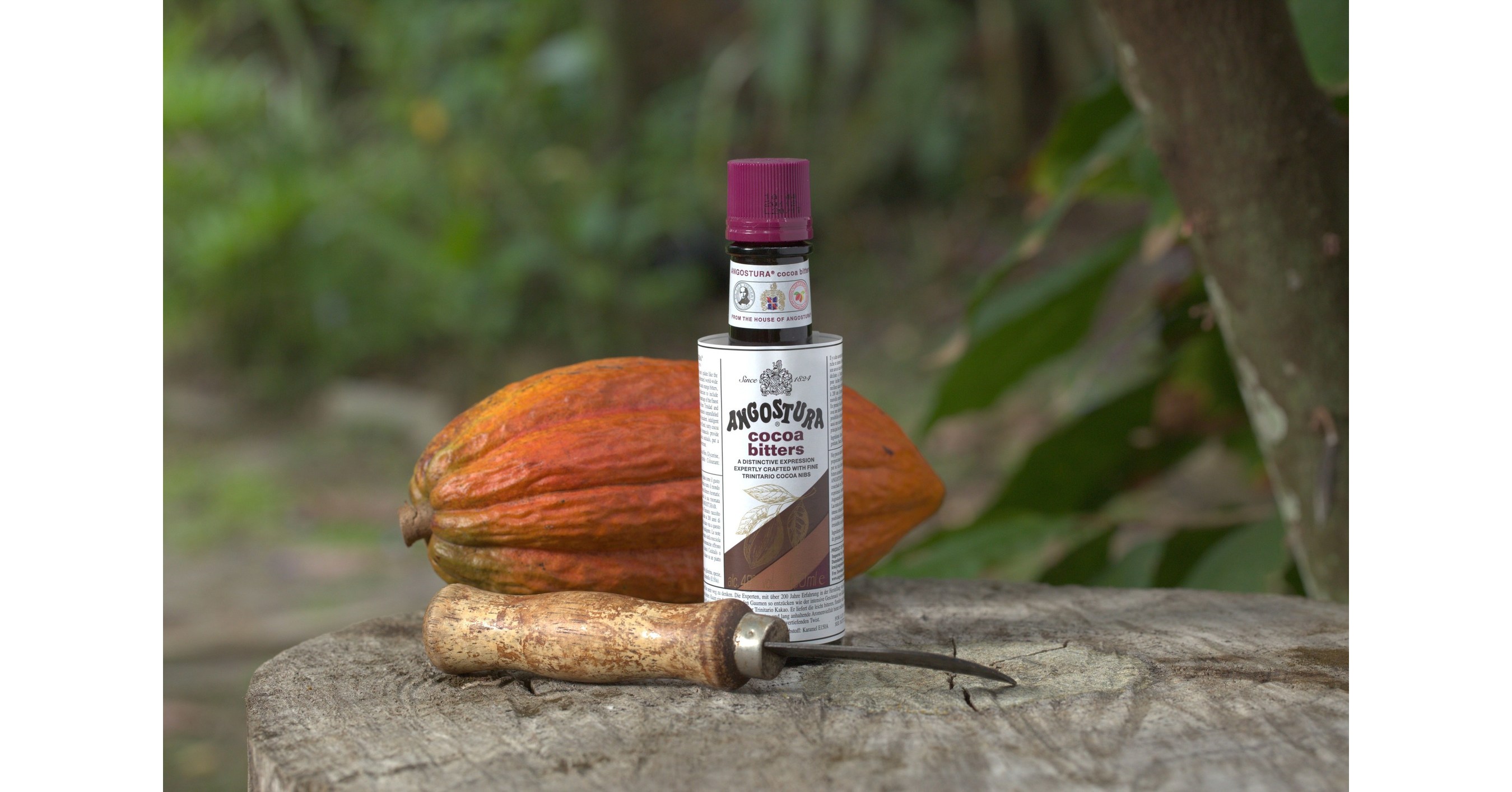 ANGOSTURA® cocoa bitters unveils 'SUSTAINABLE FUTURE' PROGRAMME to ...