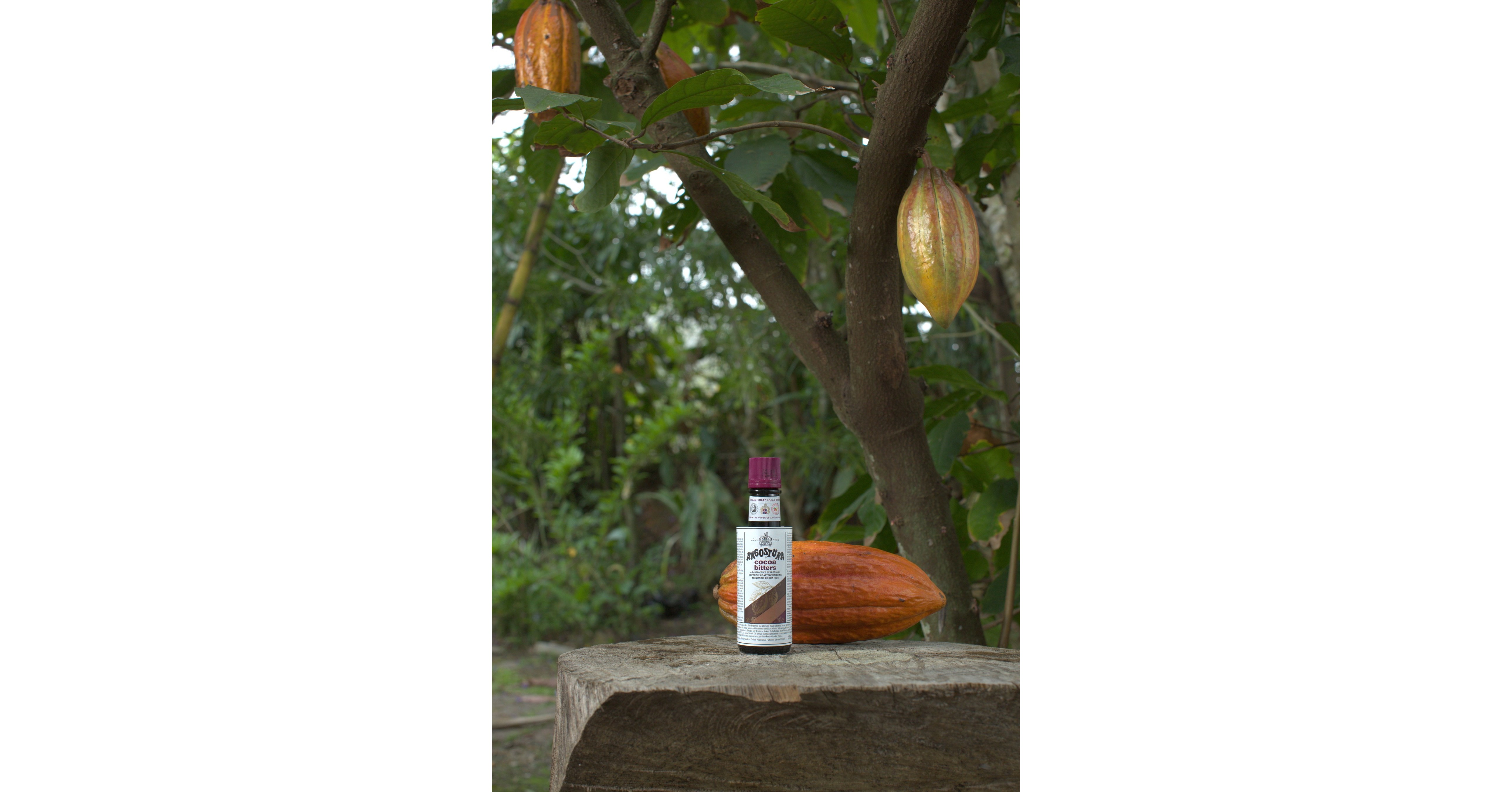 ANGOSTURA® cocoa bitters unveils 'SUSTAINABLE FUTURE' PROGRAMME to ...