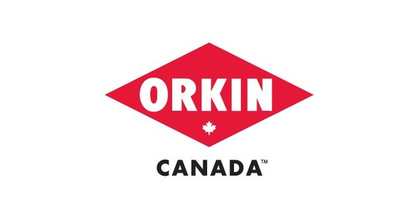 Return of the rodents to urban areas as Canadian cities emerge from the ...