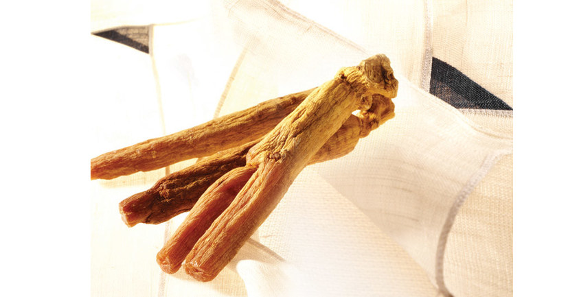 The Birth and Amazing Evolution of Red Ginseng, The Driving Force of ...