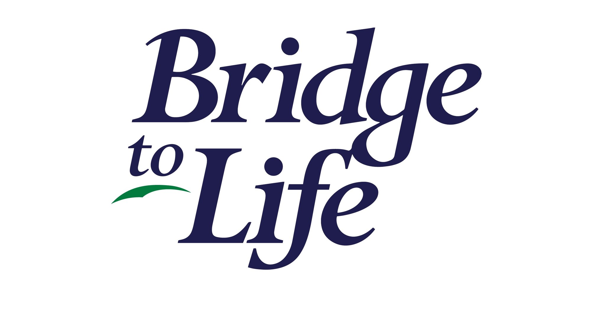Bridge to Life Ltd. Names Don Webber as President and CEO