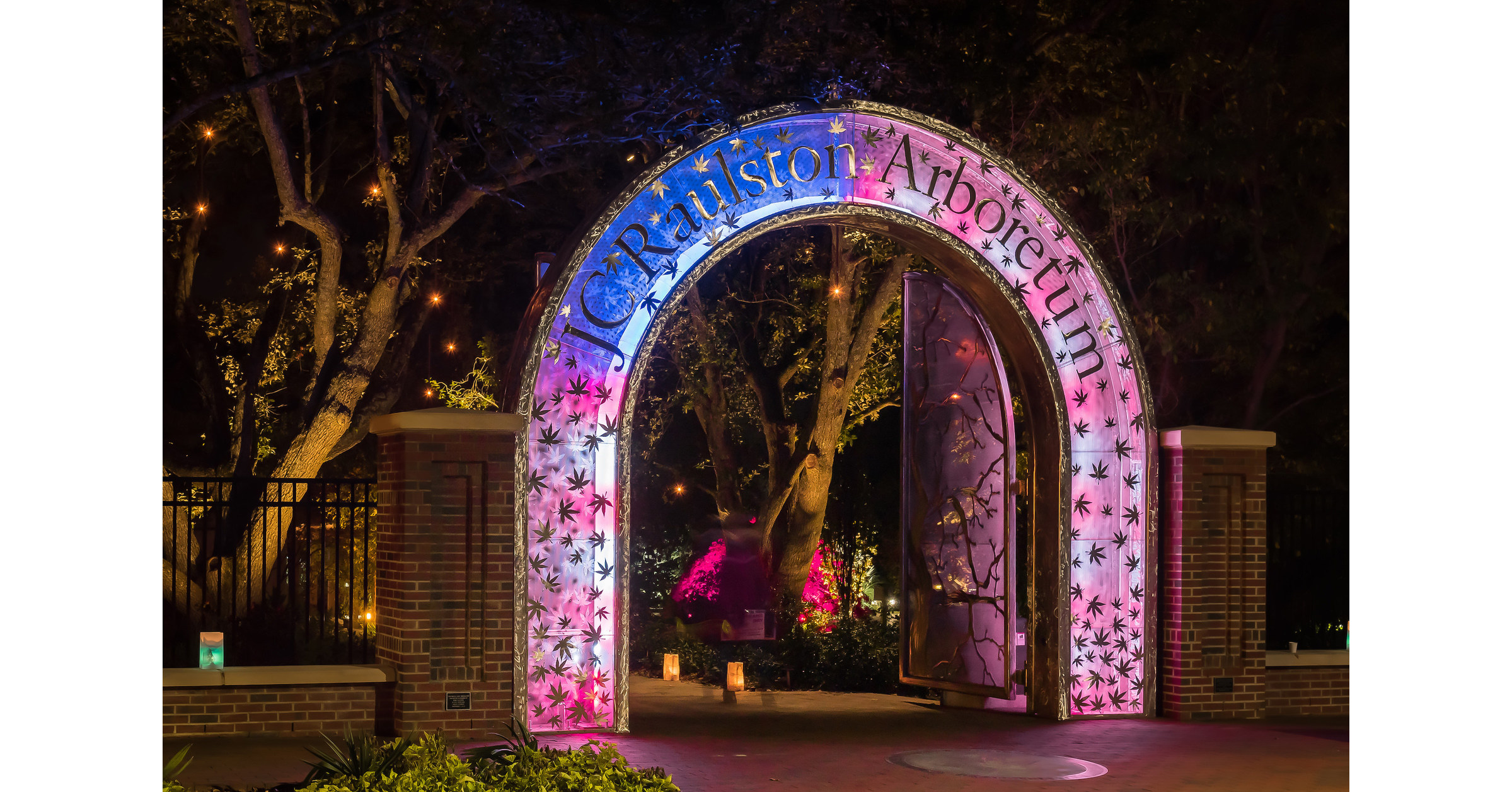 Magical Lighting Exhibition Illuminates NC State University Arboretum