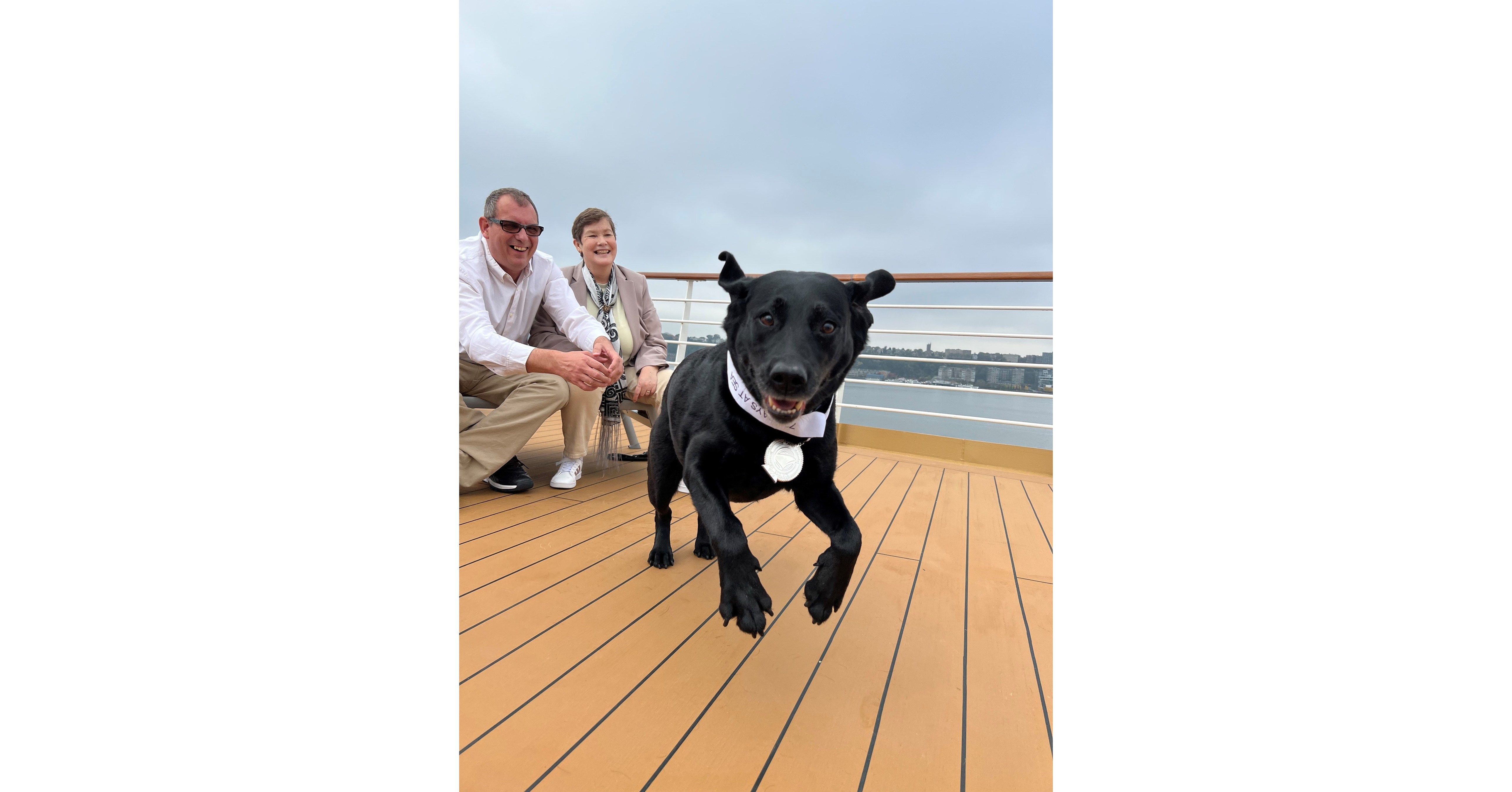 Service Dog Sails into Elite Status; More than 700 Cruise Days with ...