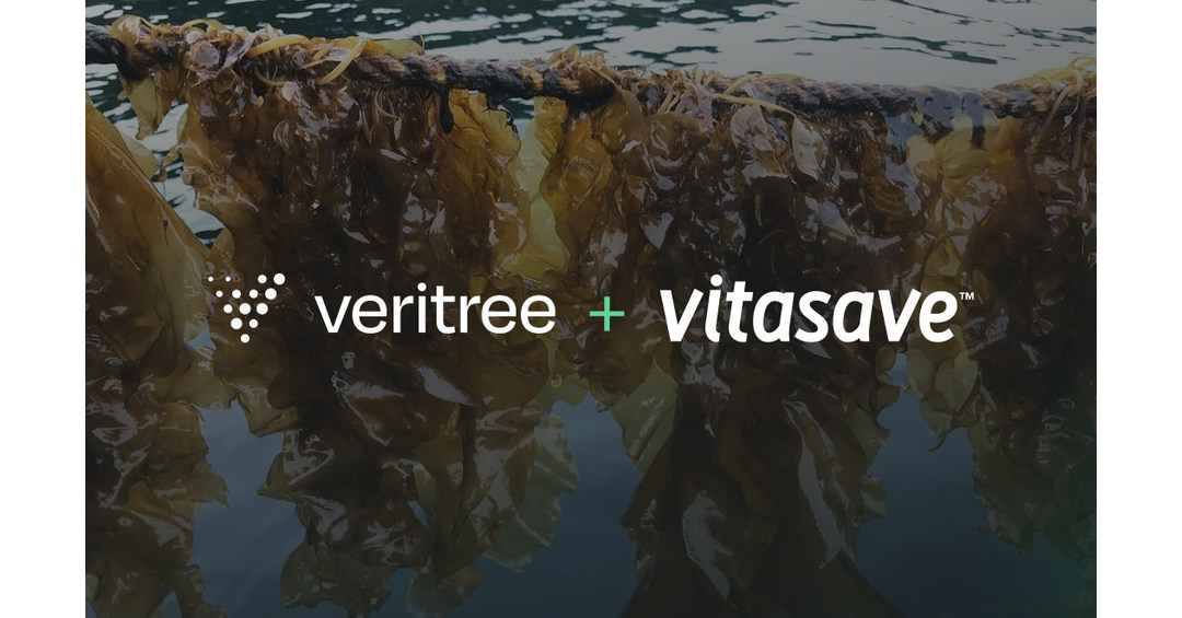 veritree and Vitasave announce new partnership to revitalize Canada's ...