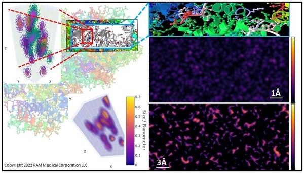 'Secrets of Shape-Shifting Proteins Revealed': Real-time observation of ...