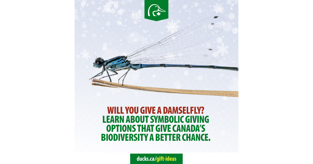 Holiday gift-giving campaign focuses on conserving wildlife habitat