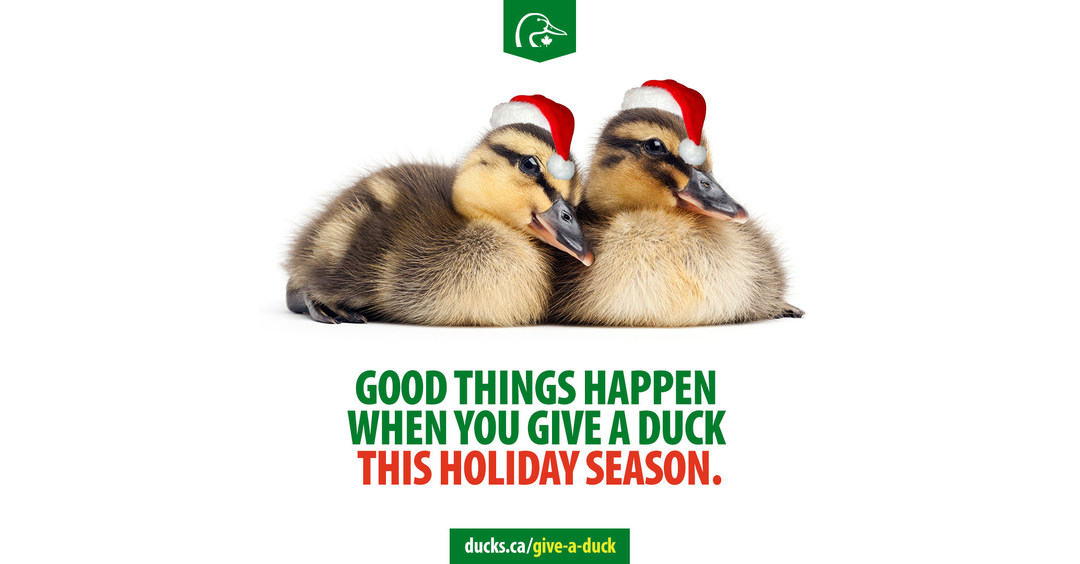 Holiday gift-giving campaign focuses on conserving wildlife habitat