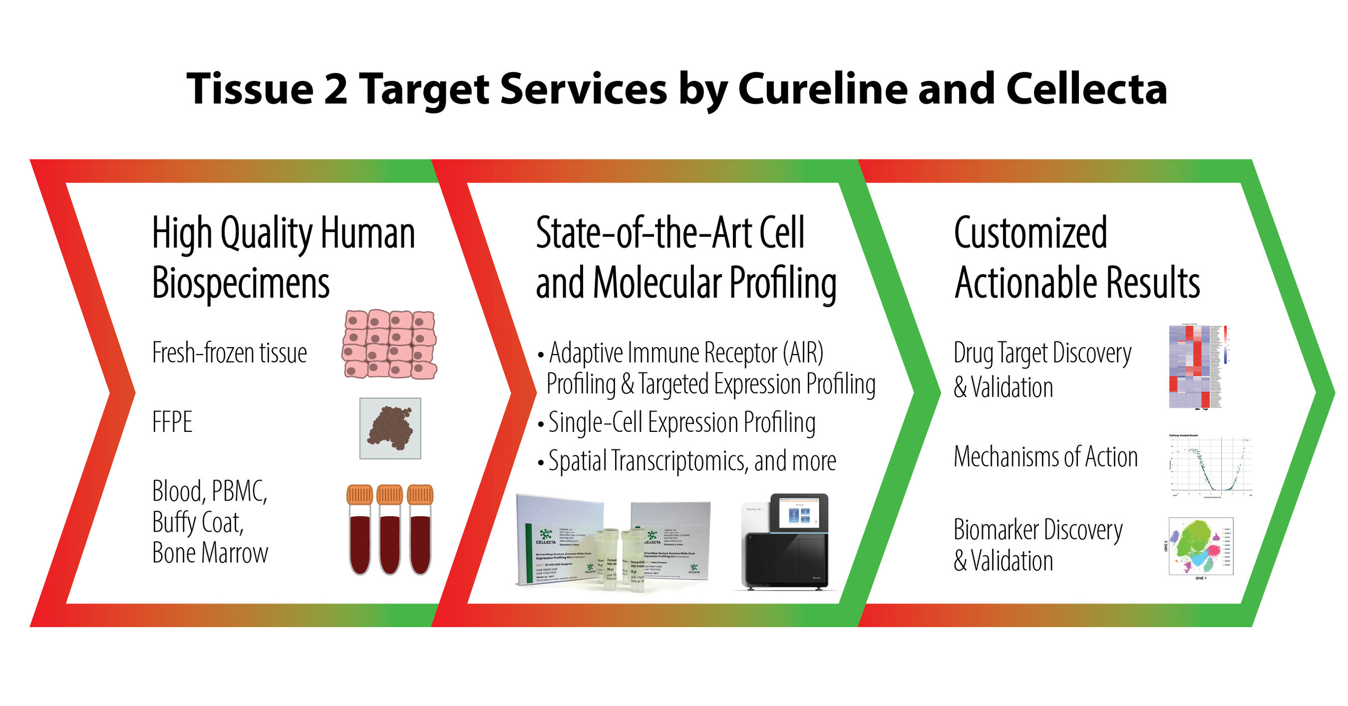 THE CURELINE GROUP and CELLECTA, Inc Partner to Launch Tissue 2 Target ...