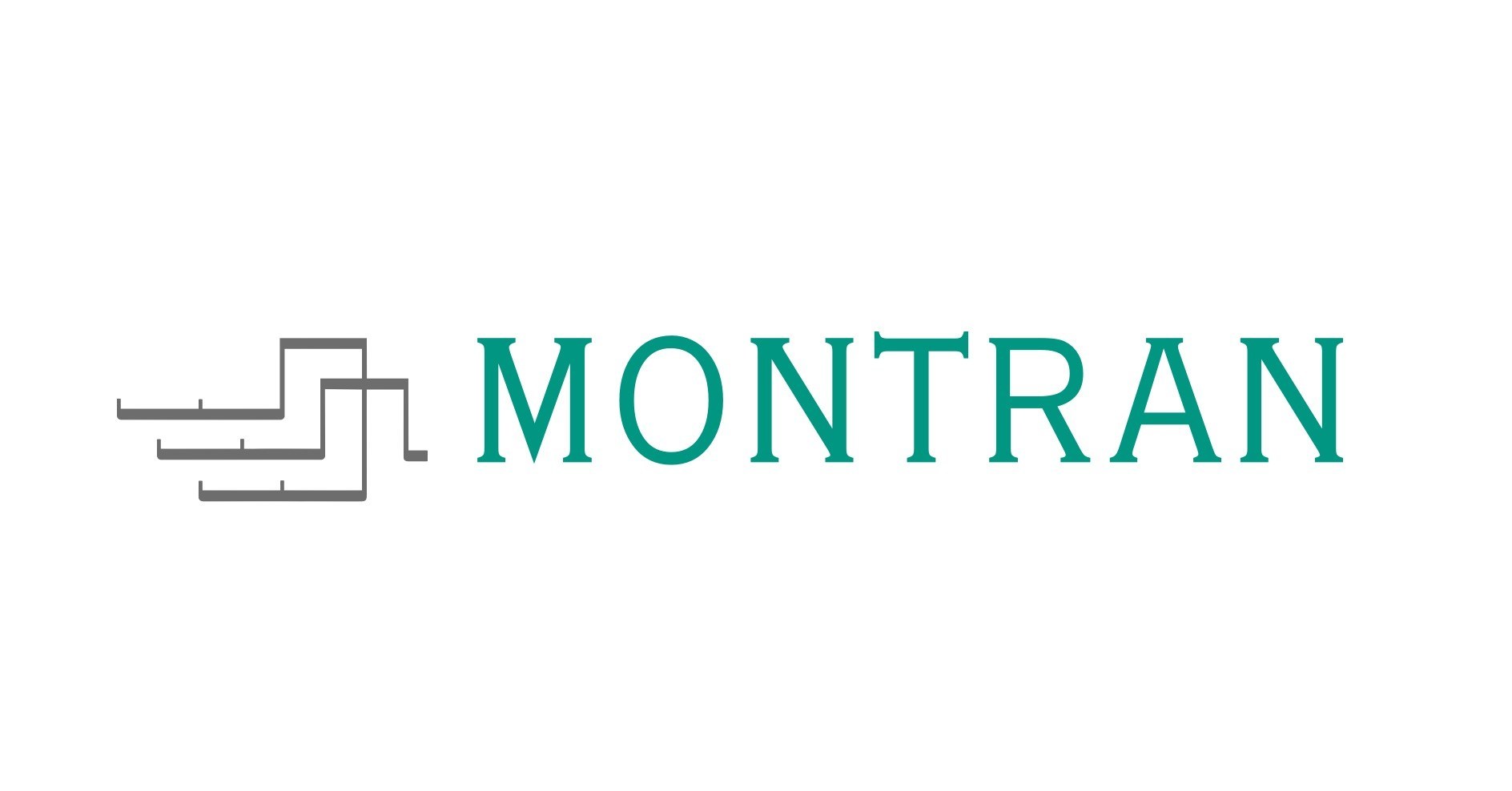 OeKB CSD and Montran deliver CSD Issuer Platform to OeKB CSD Clients