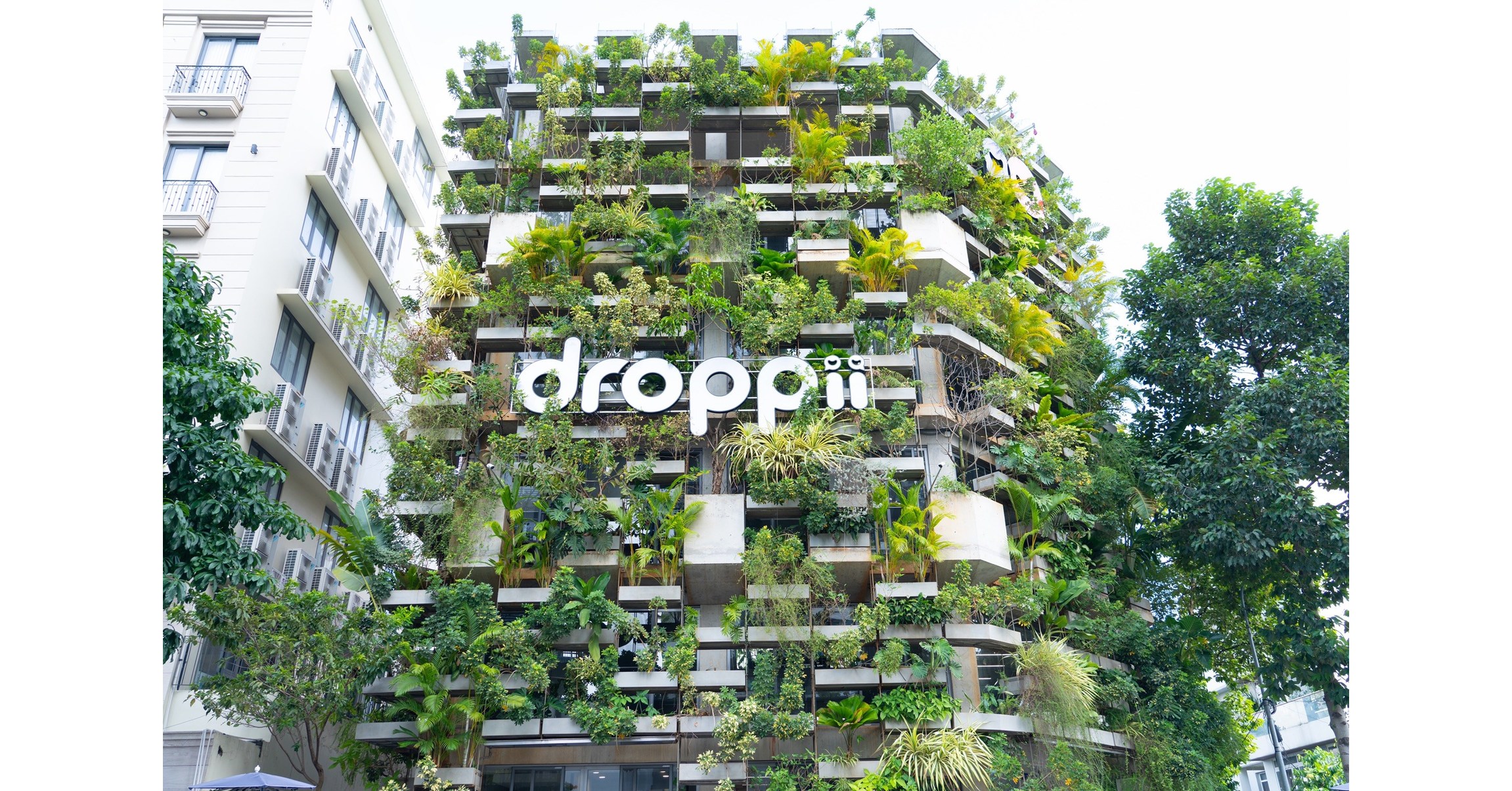 Droppii brings innovative e-commerce business solutions to the United ...