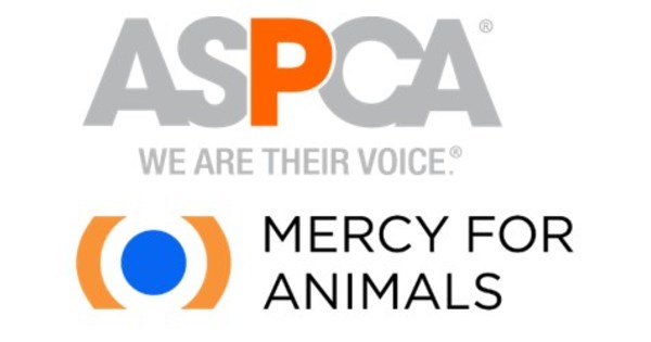 Sen. Booker Introduces Federal Bill to Protect Farm Animals and Hold ...