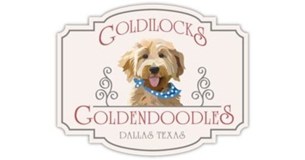 Goldilock's Goldendoodles Celebrate 10 Years of Doodle Love!