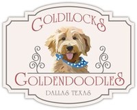 Goldilock's Goldendoodles Celebrate 10 Years of Doodle Love!