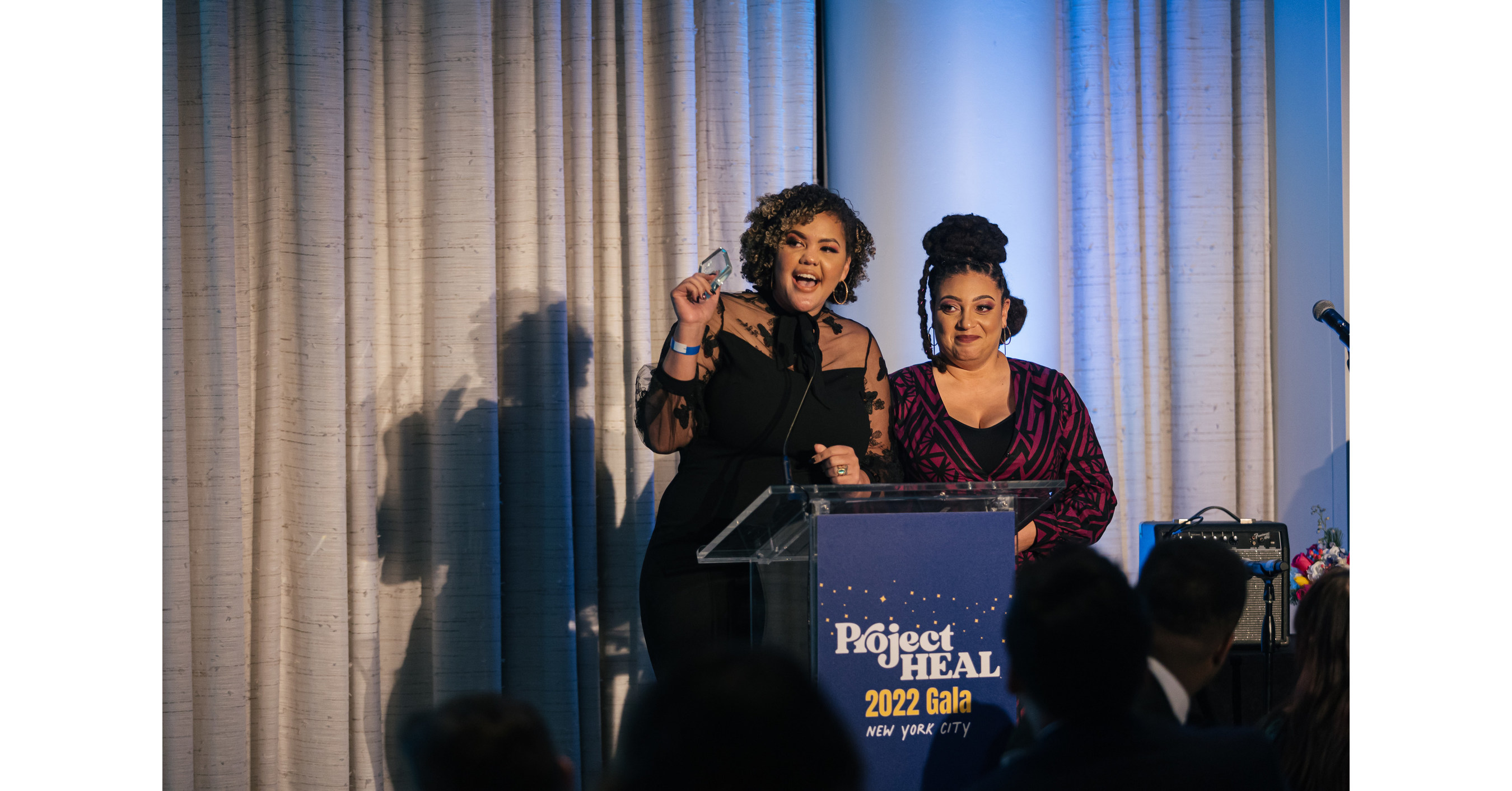 Project HEAL Reveals 3216% Increase in Community Support at Annual Gala ...