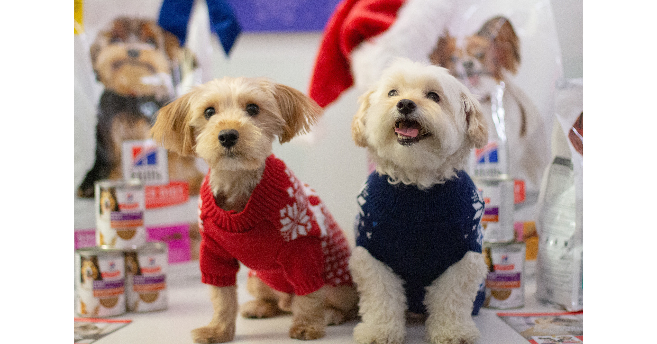 Hill's Pet Nutrition and Celebrity Groomer Jess Rona Team Up to Help ...