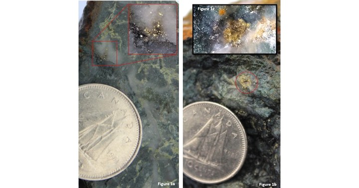 More Visible Gold Found at Northern Shield's Root & Cellar Property ...
