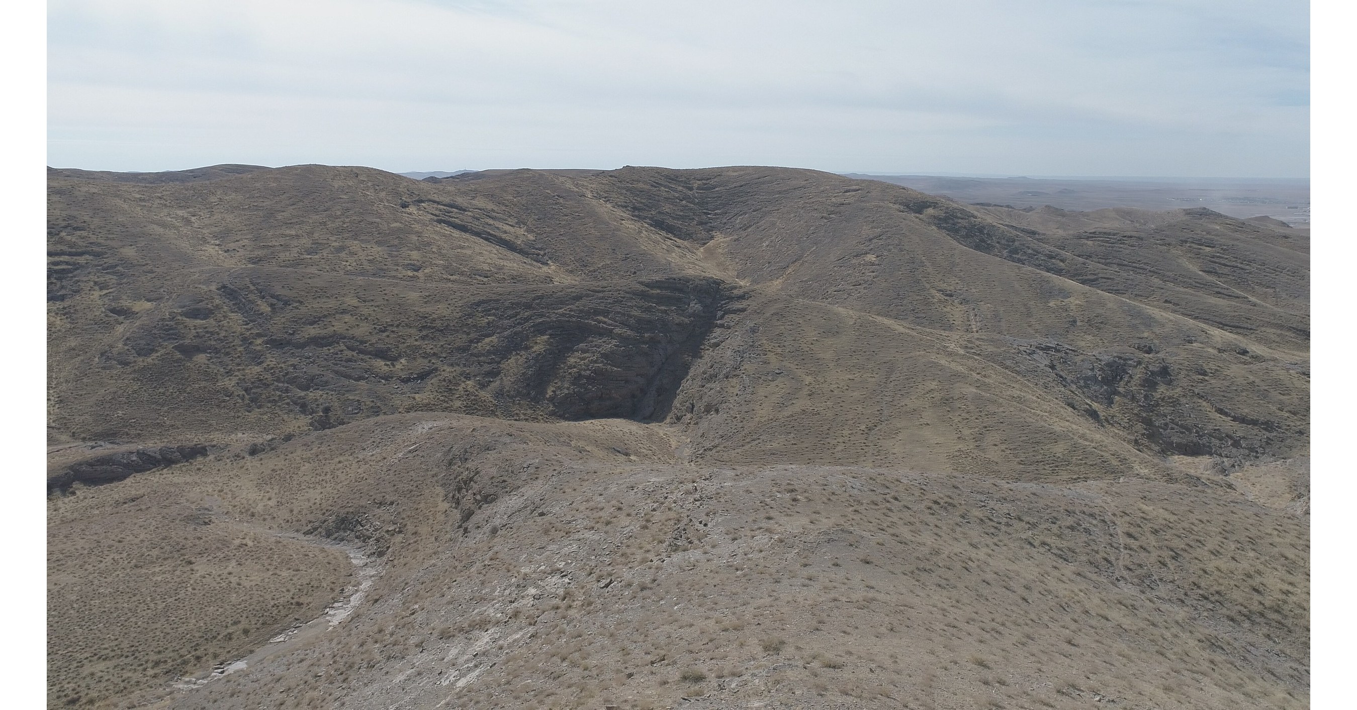 IDENTIFLIGHT TO PROTECT AVIAN WILDLIFE FROM TURBINE COLLISIONS AT ...