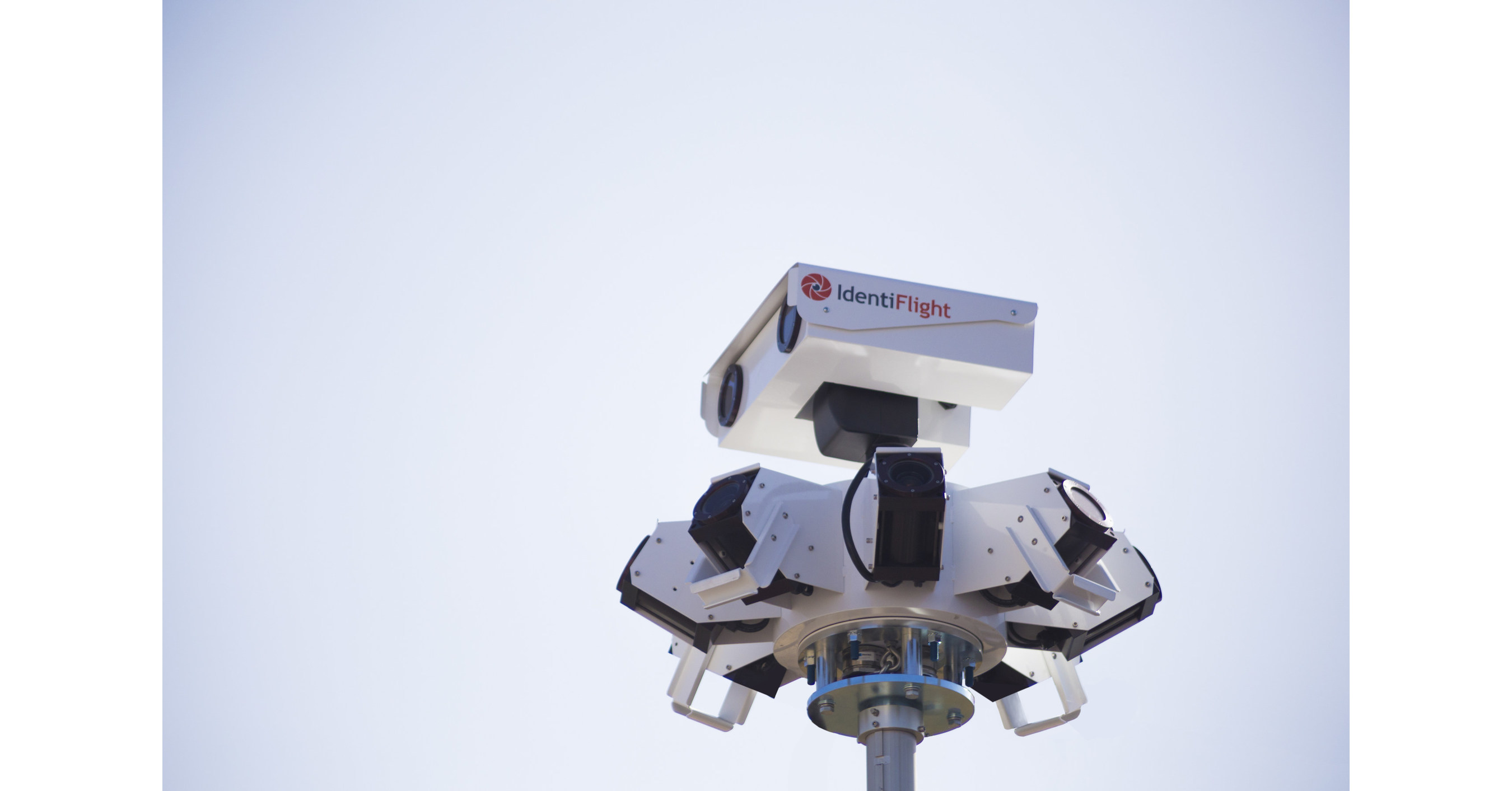 IDENTIFLIGHT PARA PROTEGER A VIDA SELVAGEM AVIÁRIA DE COLISÕES DE ...