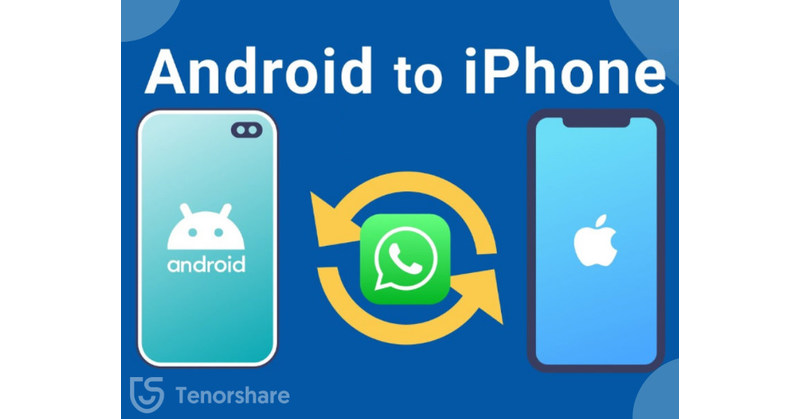 How to Transfer WhatsApp From Android to iPhone 14 Without Factory ...