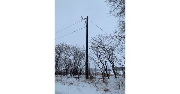 Hydro One restores power to more than 110,000 customers across the ...