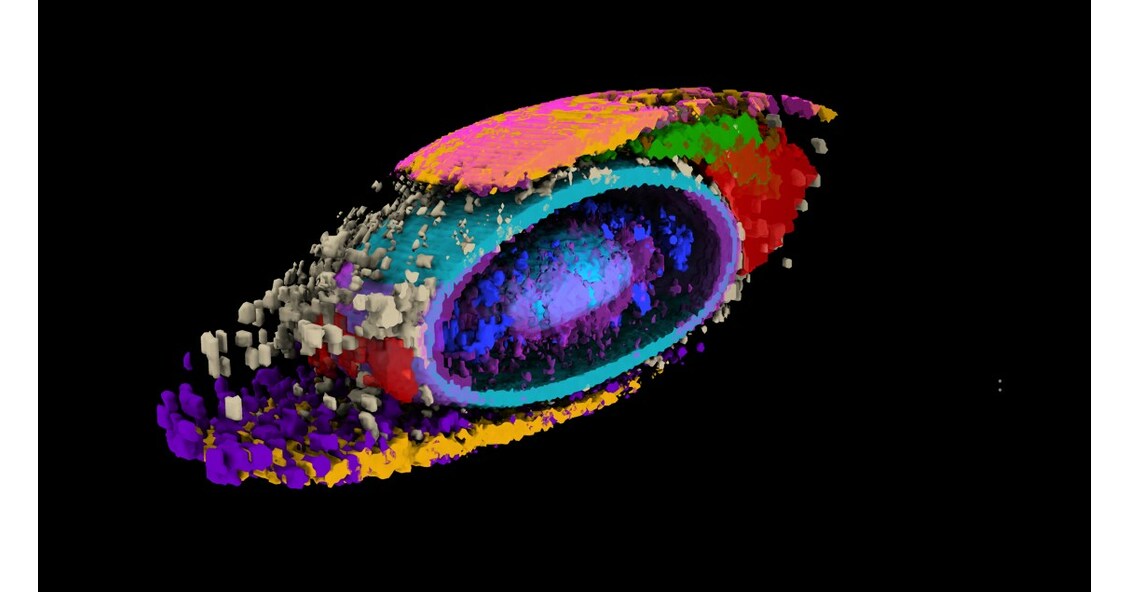 The interior design of our cells: Database of 200,000 cell images ...