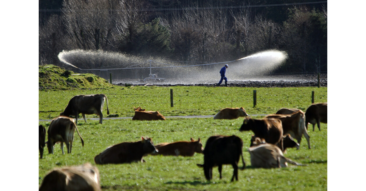 CropX Helps Animal Operators Avoid Effluent Waste Leaching