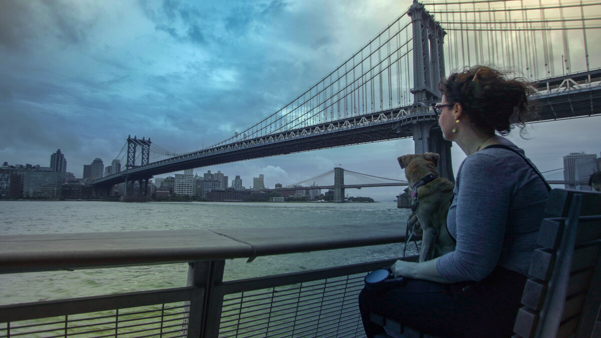 Scene In Movies Brooklyn Bridge