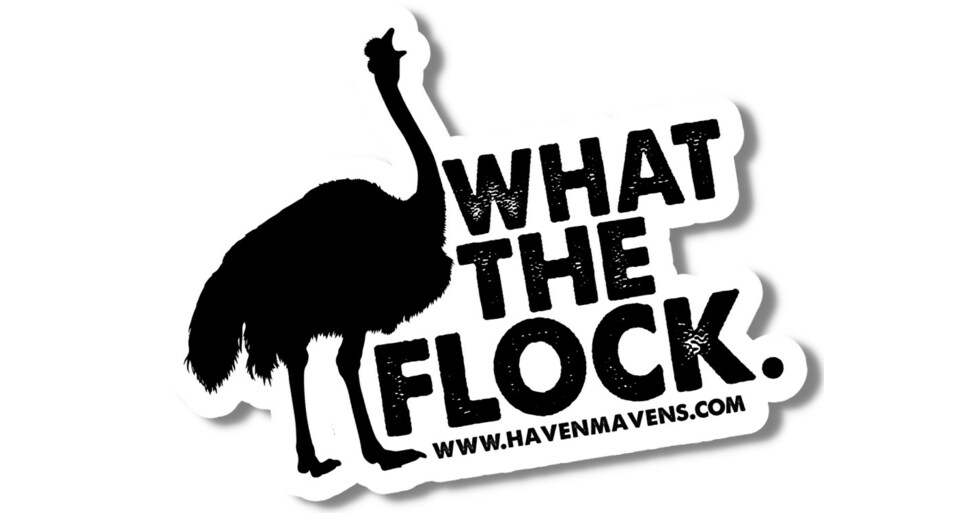 National Branding Agency HAVEN Creative Looks to Expand in the ...