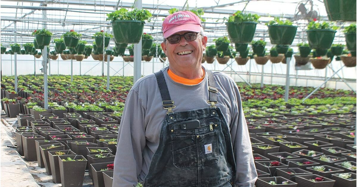 Veea, Trilogy Networks with Hurst Farms & Greenery announce the ...