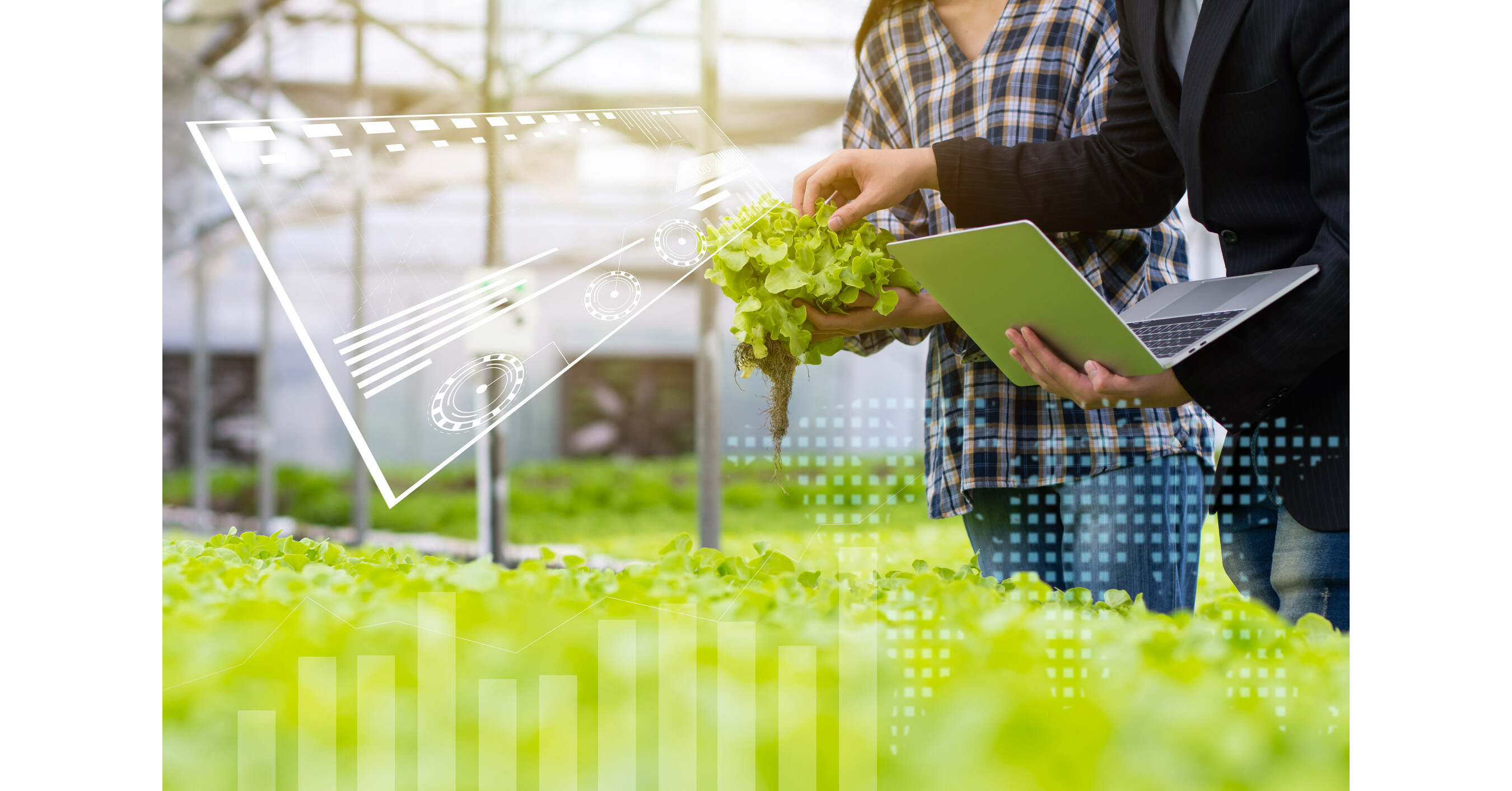 Veea, Trilogy Networks with Hurst Farms & Greenery announce the ...