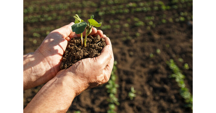 Technology Convergence Driving the Development of Sustainable Crop ...